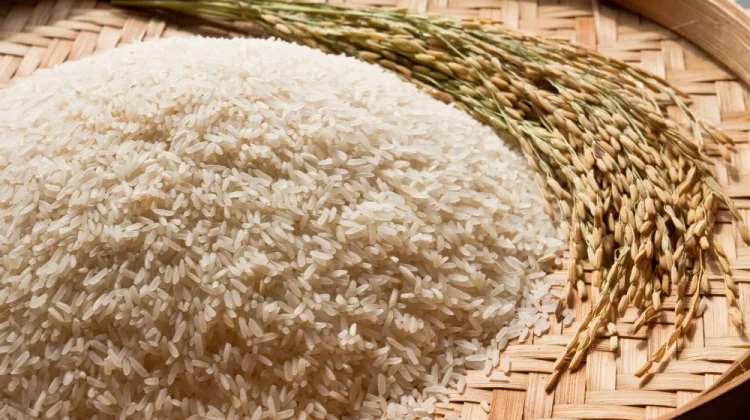 BPS Laporkan Kenaikan Harga Beras